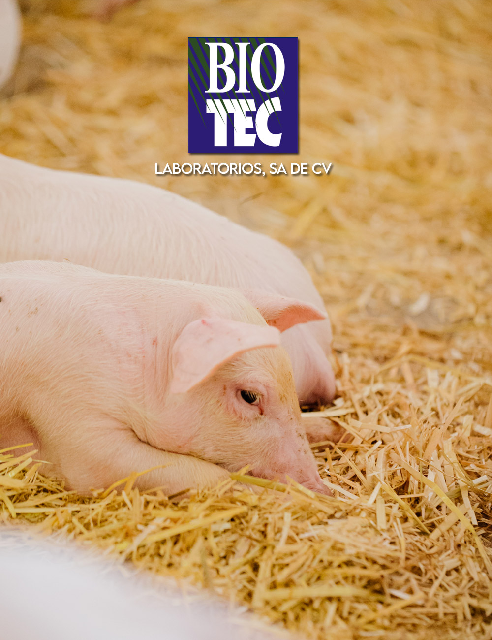 BIOTEC LABORATORIOS – El Arte de Crear Salud